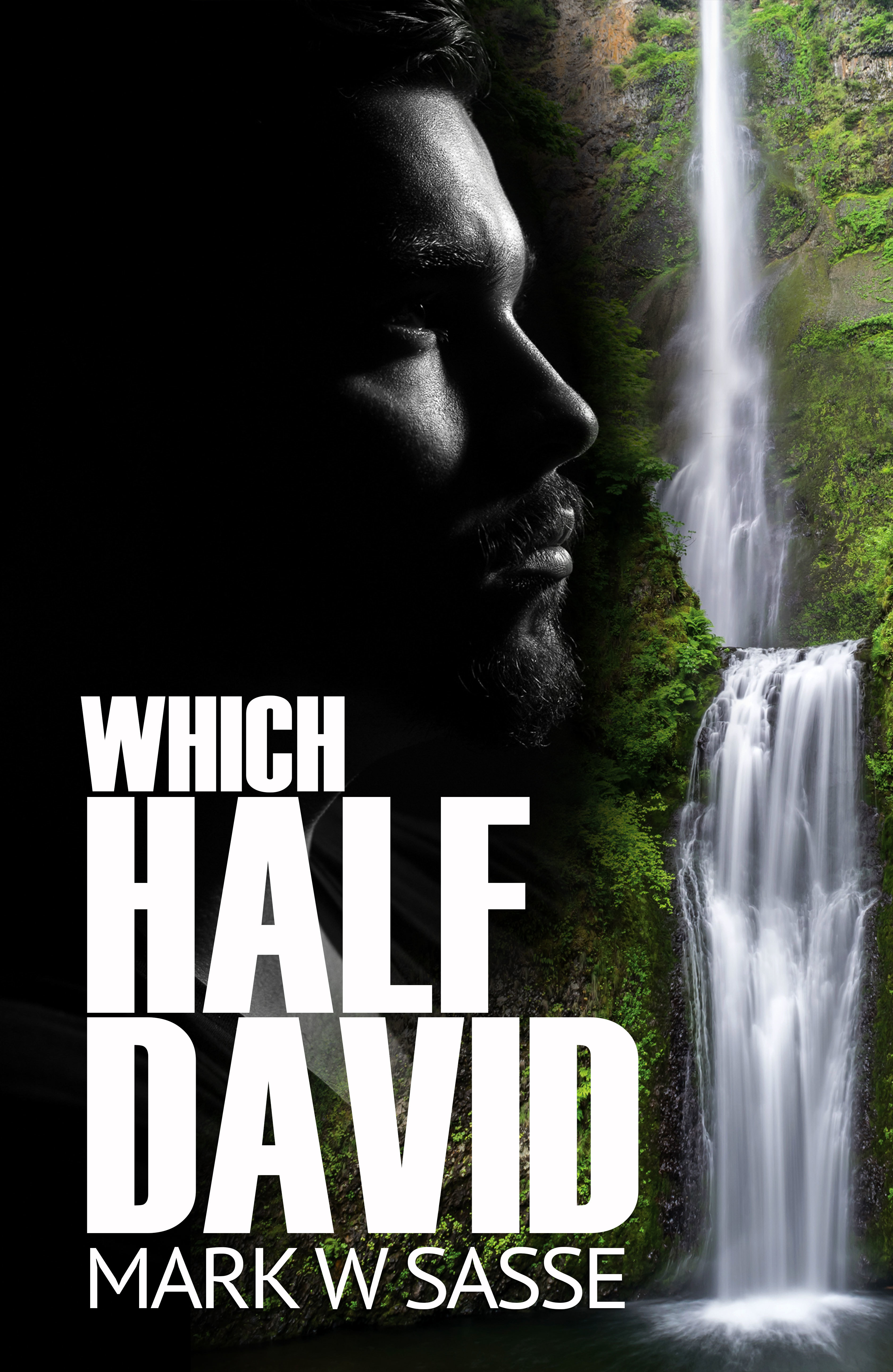 Which Half David by Mark W. Sasse | Goodreads