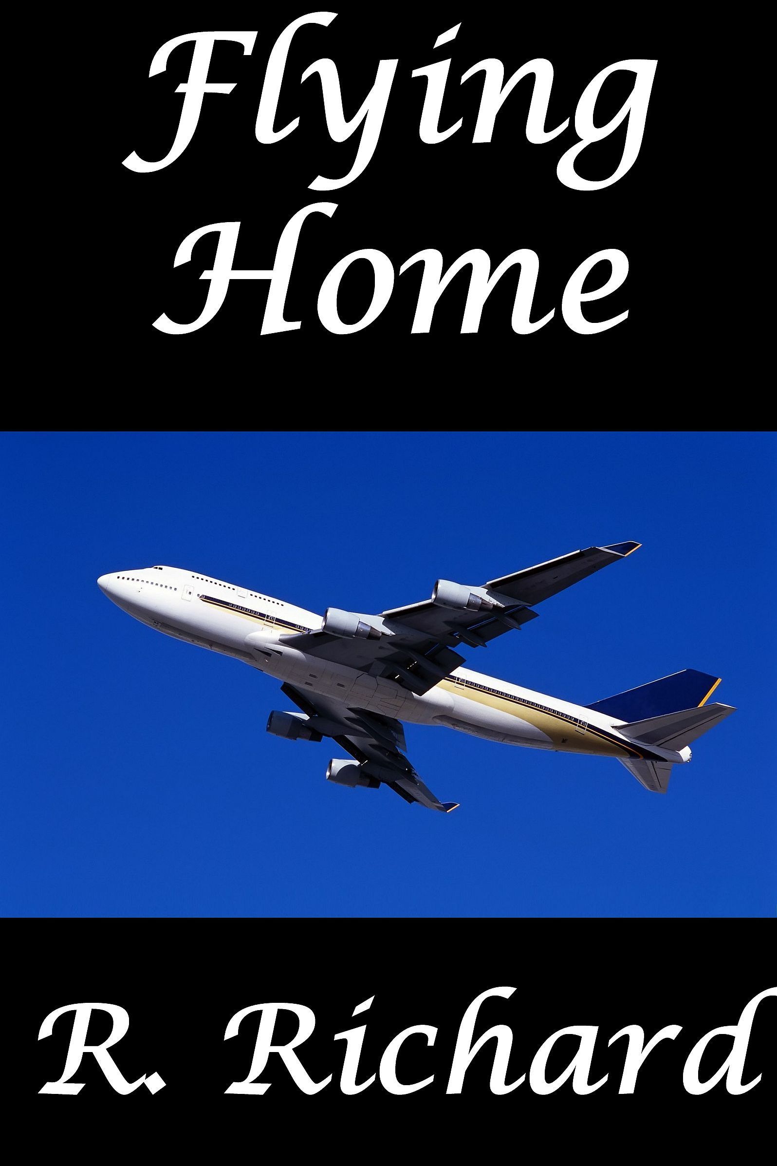 Flying Home by R. Richard | Goodreads