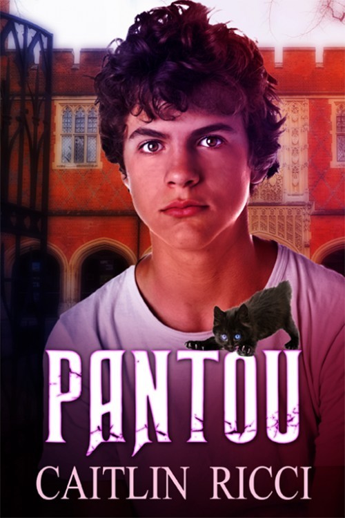 Pantou by Caitlin Ricci | Goodreads