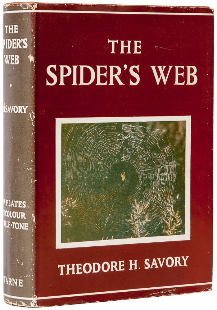 The Spider's Web by Theodore H. Savory | Goodreads