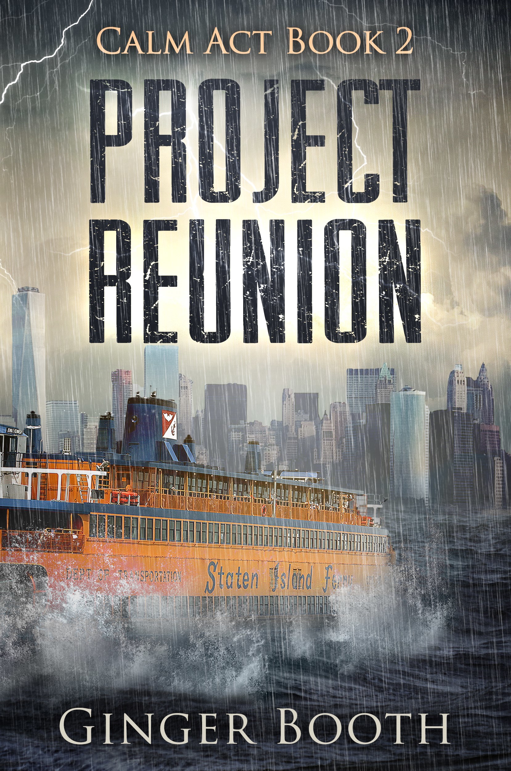 Project Reunion (The Calm Act #2) by Ginger Booth | Goodreads