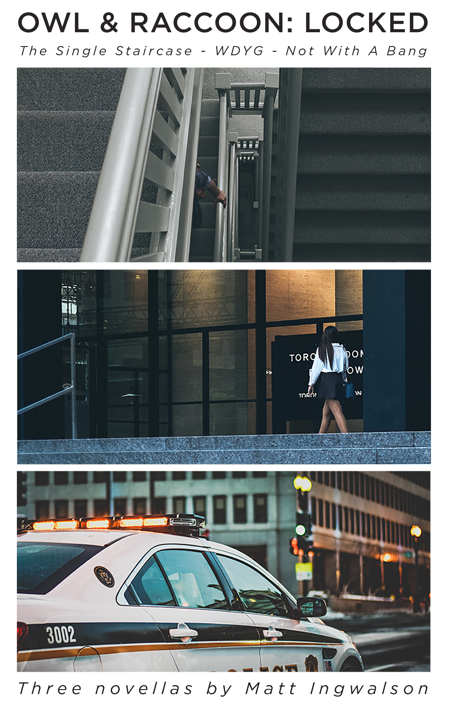 Owl & Raccoon: Locked by Matt Ingwalson | Goodreads