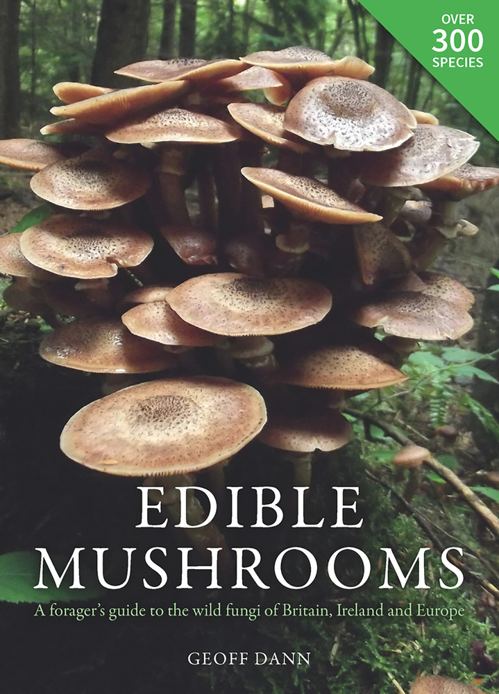 Edible Mushrooms: A forager's guide to the wild fungi of Britain ...