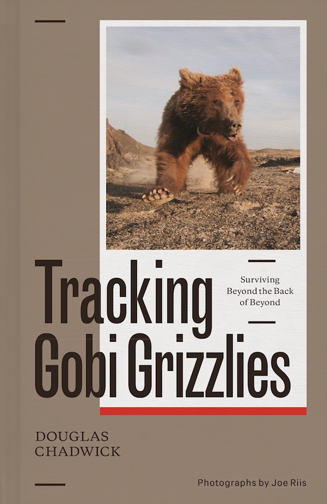 Tracking Gobi Grizzlies: Surviving Beyond the Back of Beyond by Douglas ...