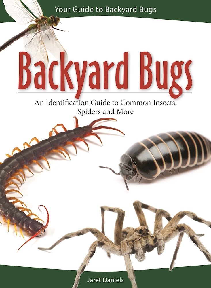 Backyard Bugs: An Identification Guide to Common Insects, Spiders, and ...