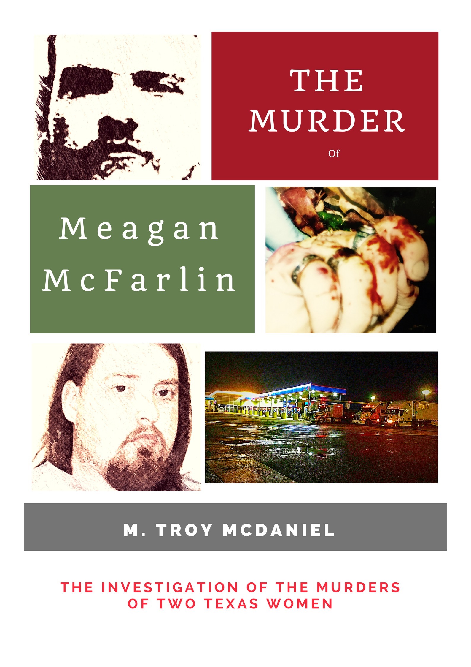 The Murder of Meagan McFarlin by M. Troy McDaniel | Goodreads