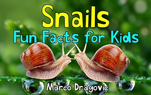 Snails: Fun Facts for Kids, Picture Books for Kids by Marco Dragovic ...