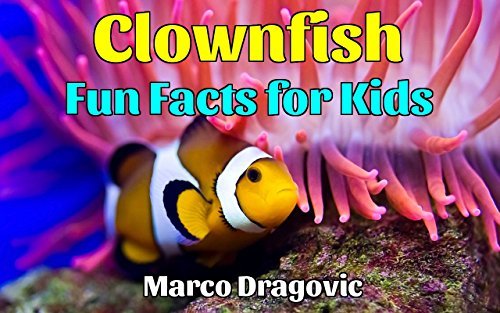 Clownfish: Fun Facts for Kids, Picture Books for Kids, Beautiful Images ...