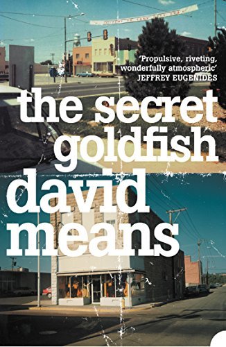 The Secret Goldfish by David Means | Goodreads