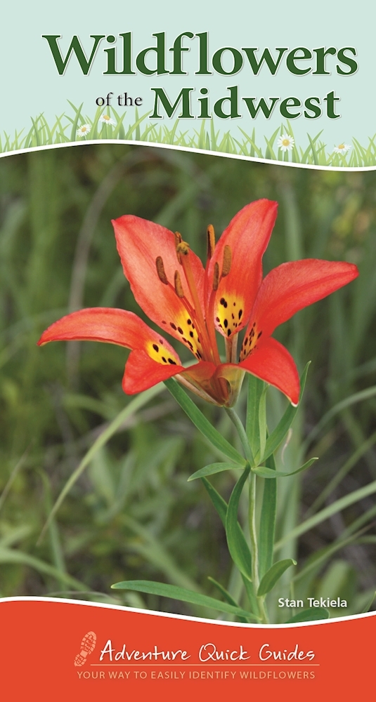 Wildflowers of the Midwest: Your Way to Easily Identify Wildflowers by ...