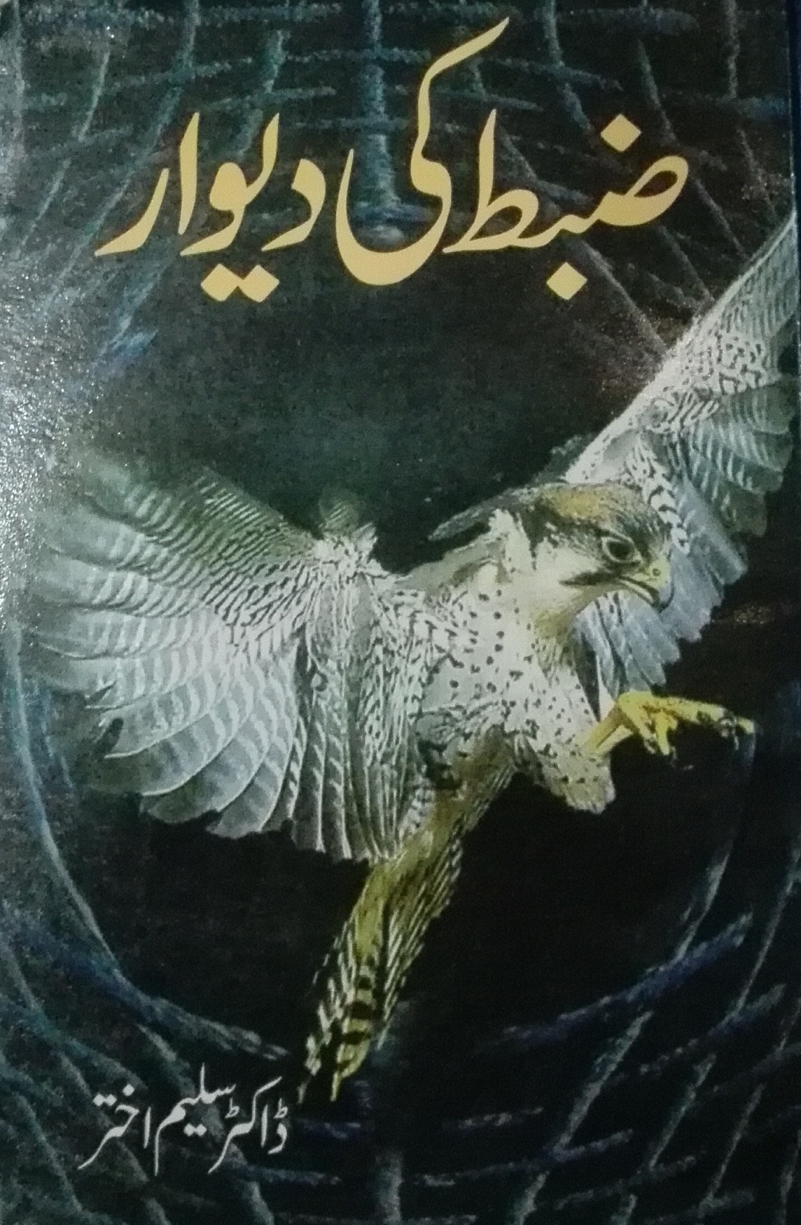 Zabt Ki Deewar / ضبط کی دیوار: ناولٹ by Saleem Akhtar | Goodreads