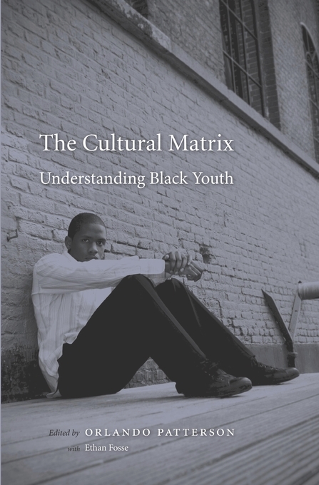 The Cultural Matrix: Understanding Black Youth by Orlando Patterson ...