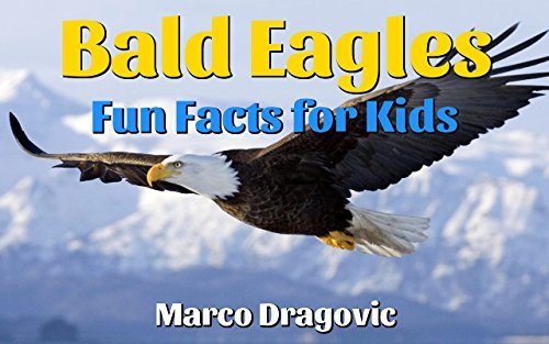 Bald Eagles: Fun Facts for Kids, Picture Books for Kids: Beautiful ...