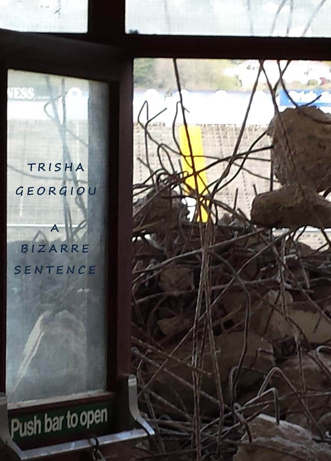 A Bizarre Sentence by Trisha Georgiou | Goodreads