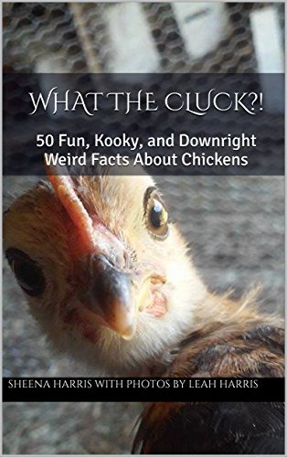 What the Cluck?!: 50 Fun, Kooky, and Downright Weird Facts About ...