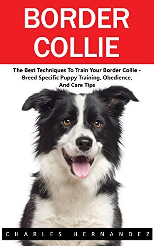 Border Collie: The Best Techniques To Train Your Border Collie - Breed ...