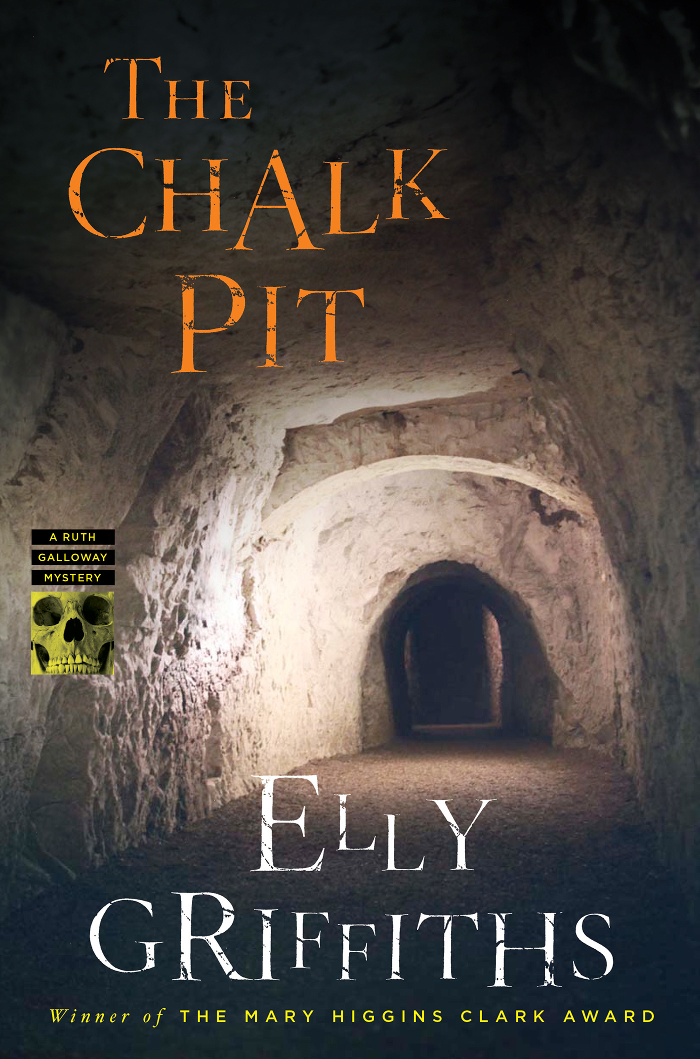 The Chalk Pit (Ruth Galloway Mystery) by Elly Griffiths | Goodreads