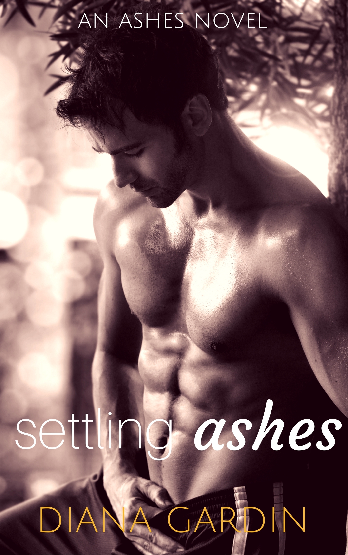 Settling Ashes (Ashes #2) by Diana Gardin | Goodreads