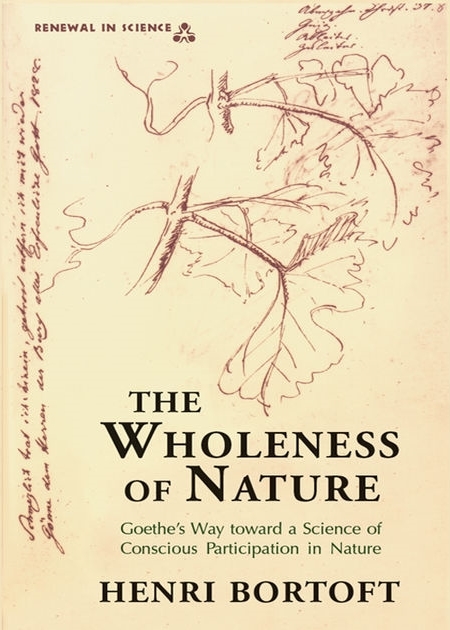 The Wholeness of Nature : Goethe's Way Toward a Science of Conscious ...