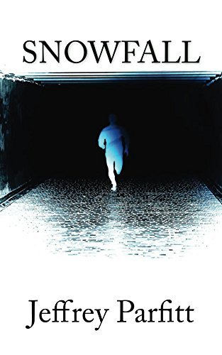 Snowfall by Jeffrey Parfitt | Goodreads