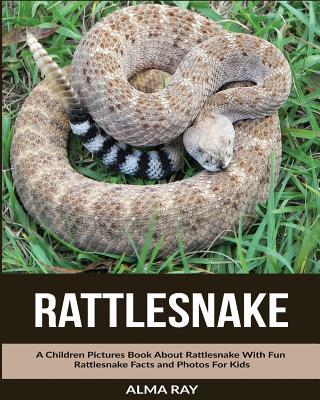 Rattlesnake: A Children Pictures Book About Rattlesnake With Fun ...