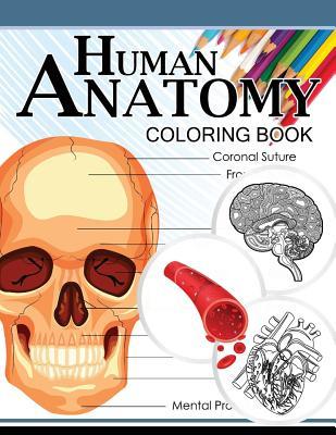 Anatomy Coloring Book Pages To Print