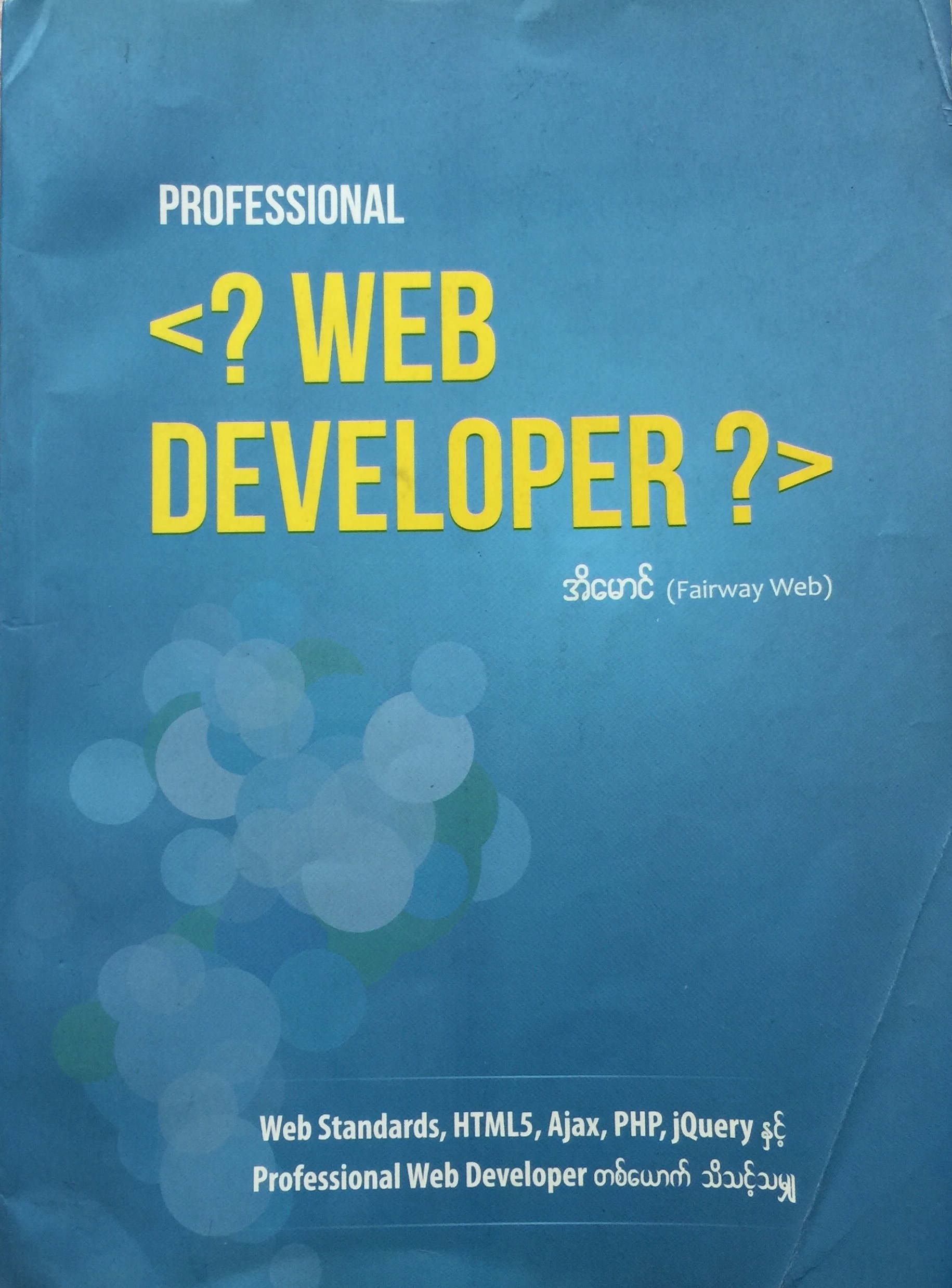 Professional Web Developer by Ei Maung | Goodreads