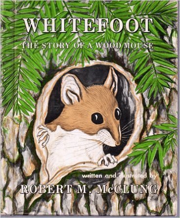 Whitefoot: The Story of a Wood Mouse by Robert M. McClung | Goodreads