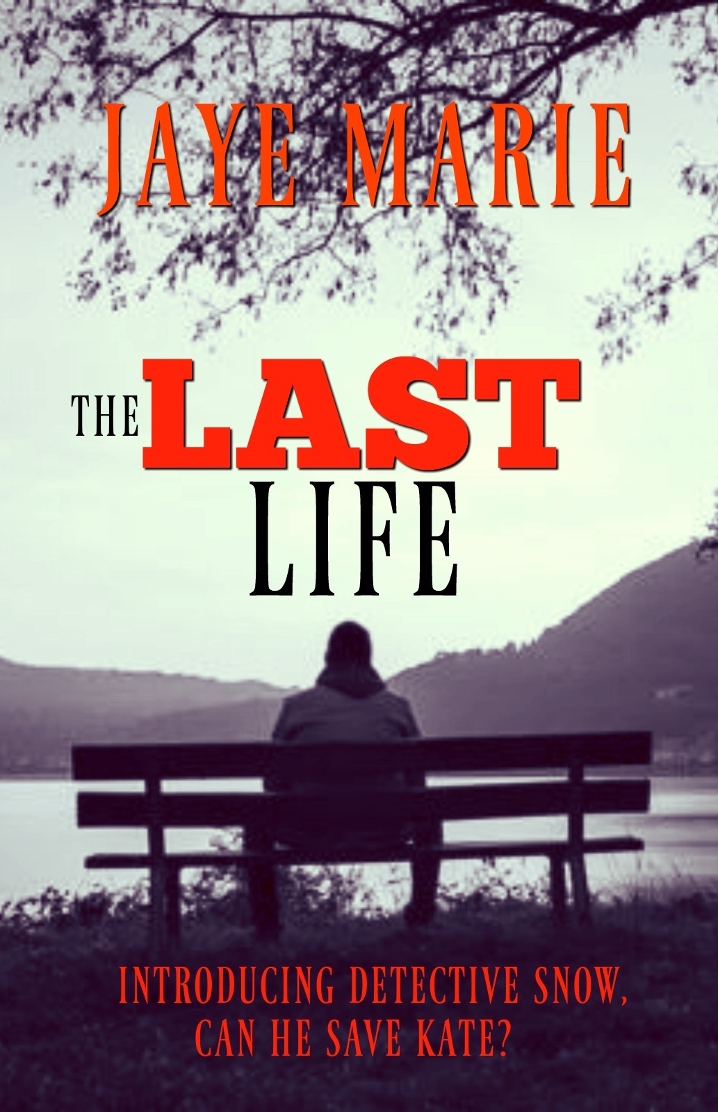 The Last Life (Lives #2) by Jaye Marie | Goodreads