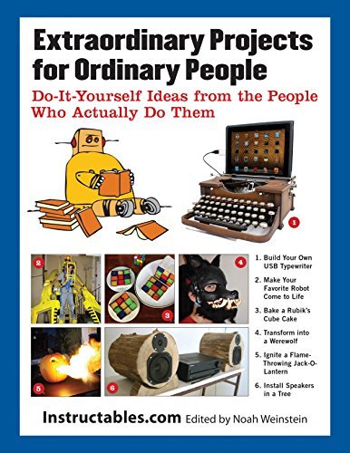 Extraordinary Projects for Ordinary People: Do-It-Yourself Ideas from ...