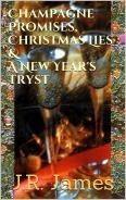 Champagne Promises, Christmas Lies & A New Year's Tryst by J.R. James ...