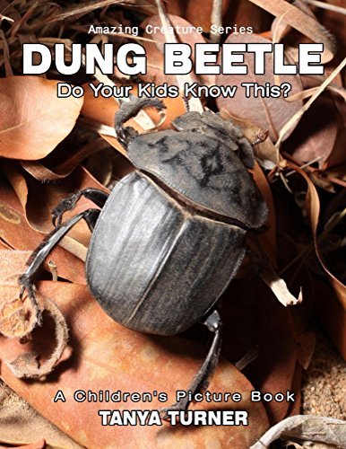 THE DUNG BEETLE: Do Your Kids Know This?: A Children's Picture Book by ...