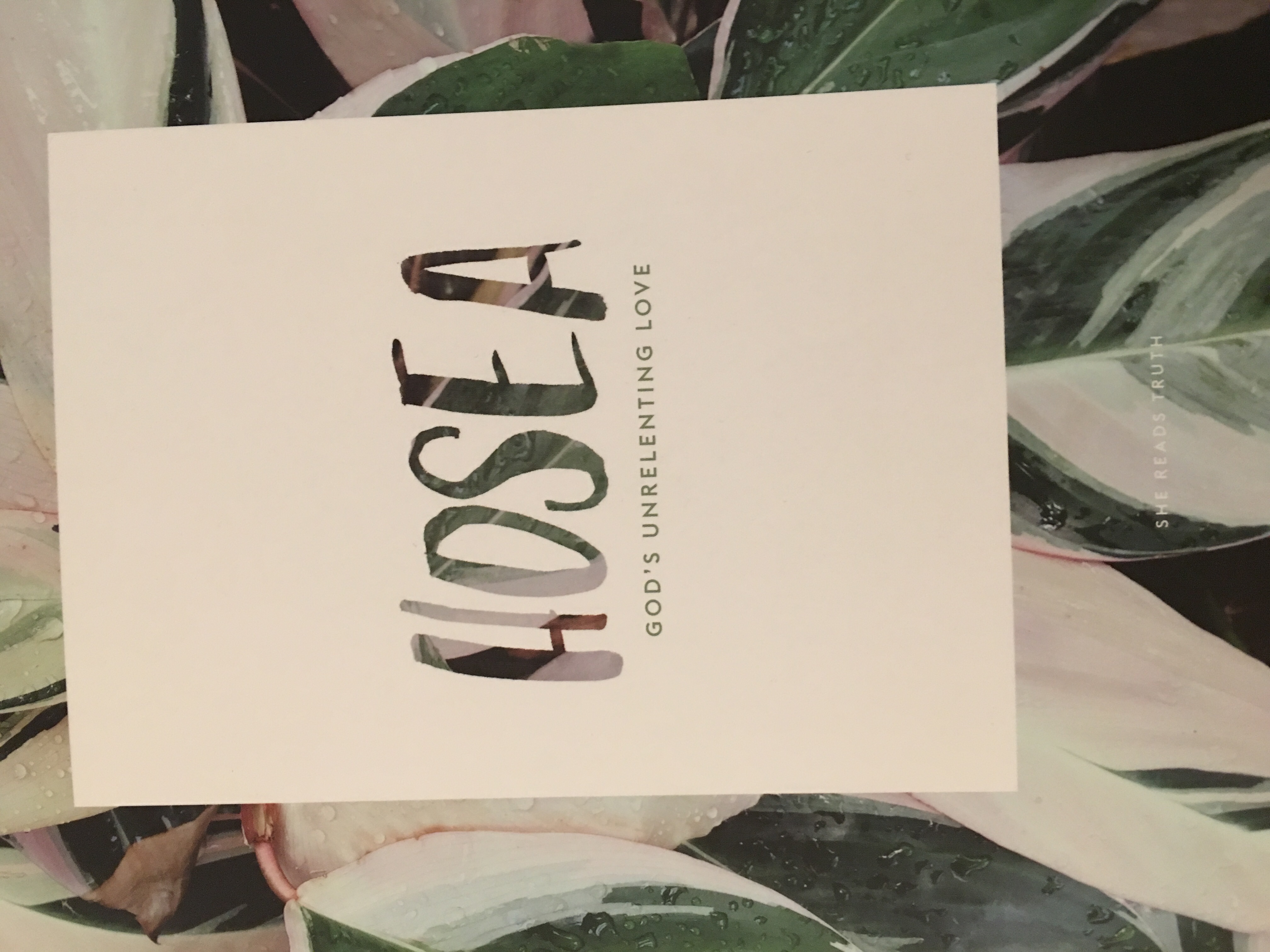 Hosea: God's Unrelenting Love by She Reads Truth | Goodreads