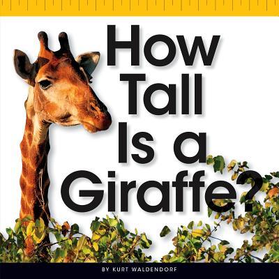 How Tall Is a Giraffe? by Kurt Waldendorf | Goodreads