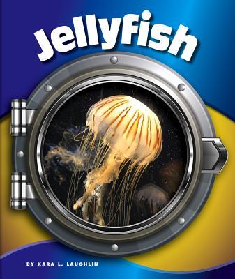 Jellyfish by Kara L. Laughlin | Goodreads