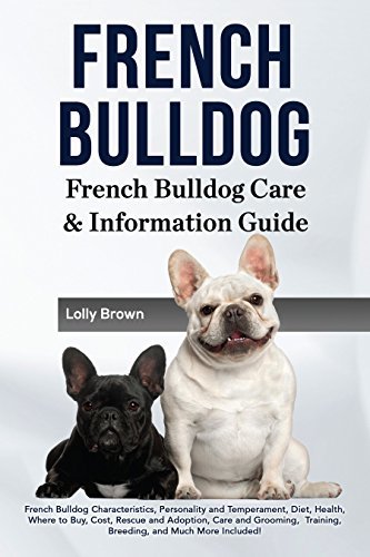 French Bulldog: French Bulldog Characteristics, Personality and ...