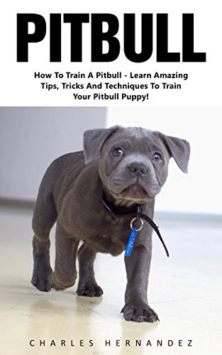 Pitbull: How To Train A Pitbull - Learn Amazing Tips, Tricks And ...