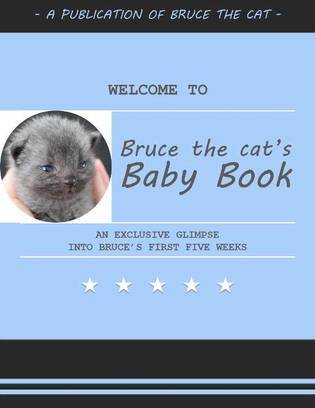 Bruce the cat's Baby Book by Bruce the Cat | Goodreads