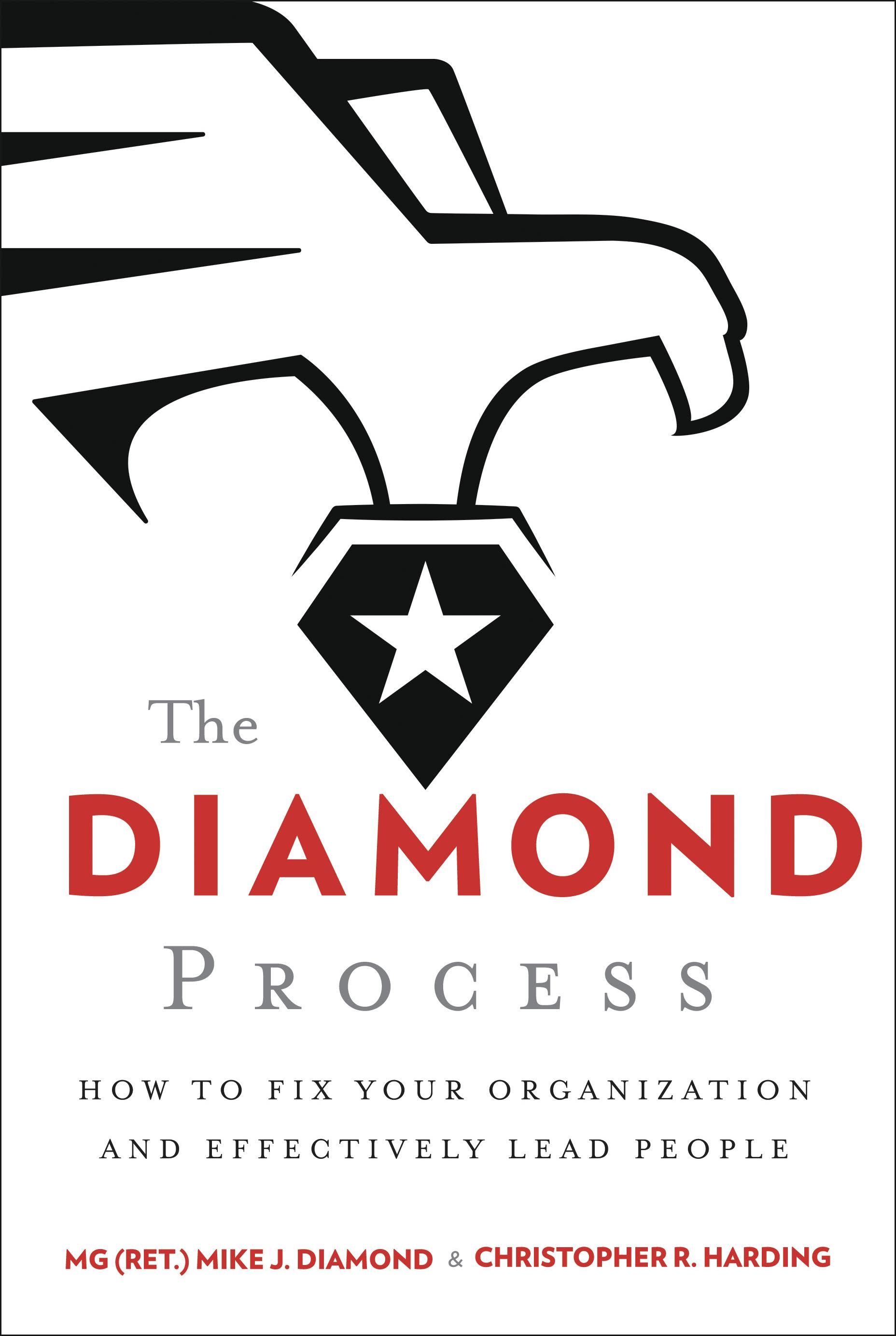 The Diamond Process: How to Fix Your Organization and Effectively Lead ...