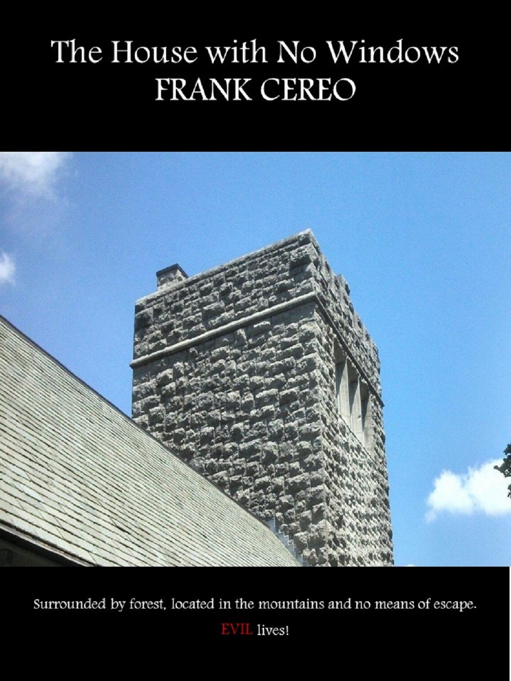 The House with No Windows by Frank Cereo | Goodreads