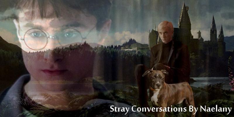 Stray Conversations by marlislash | Goodreads