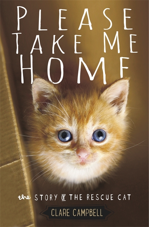 Please Take Me Home: The Story of the Rescue Cat by Clare Campbell ...
