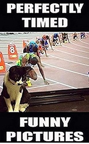 Memes: Perfectly Timed Pictures - Funny Memes & Epic Hilarious Fails ...