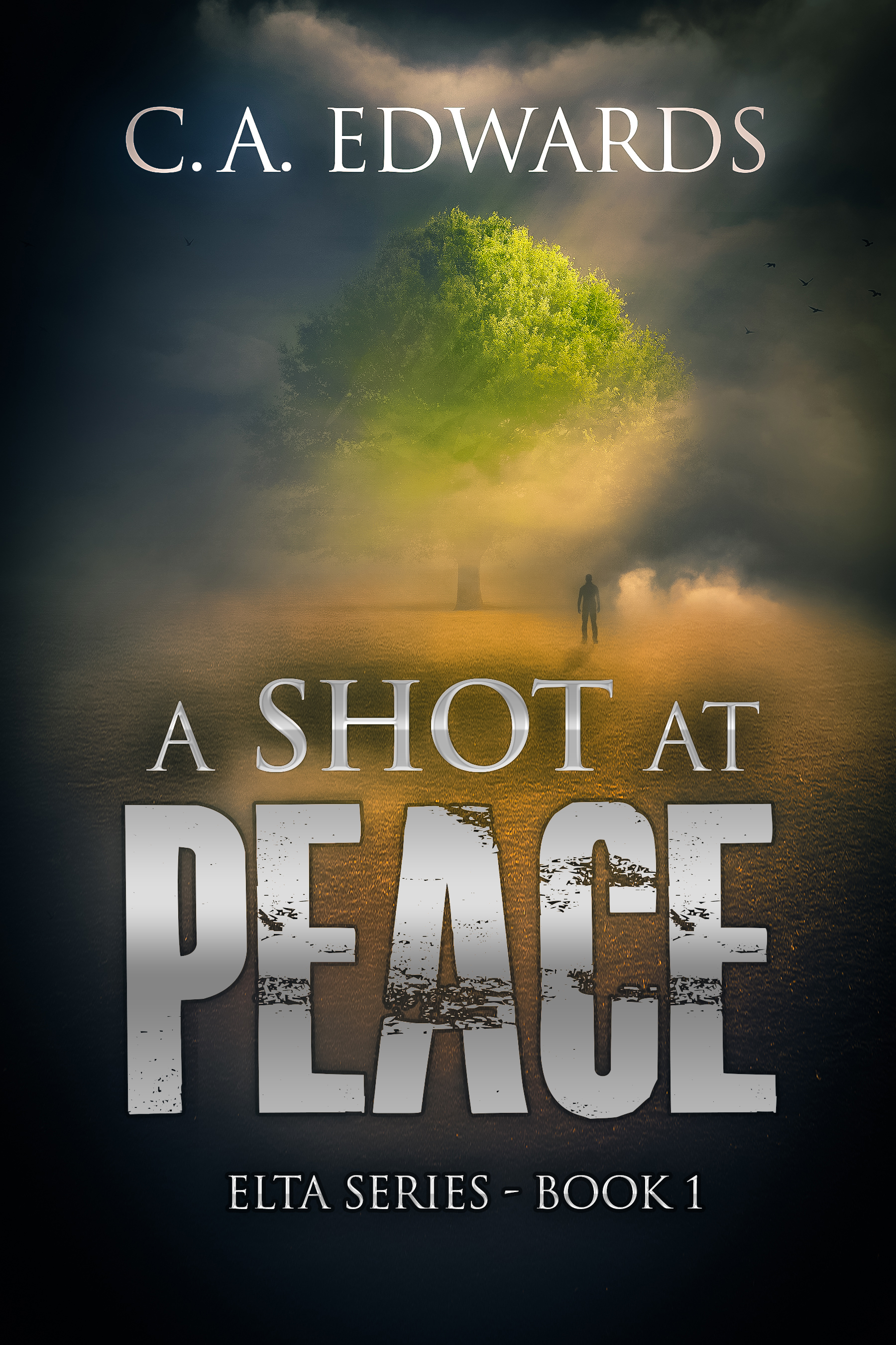 A Shot at Peace by C.A. Edwards | Goodreads