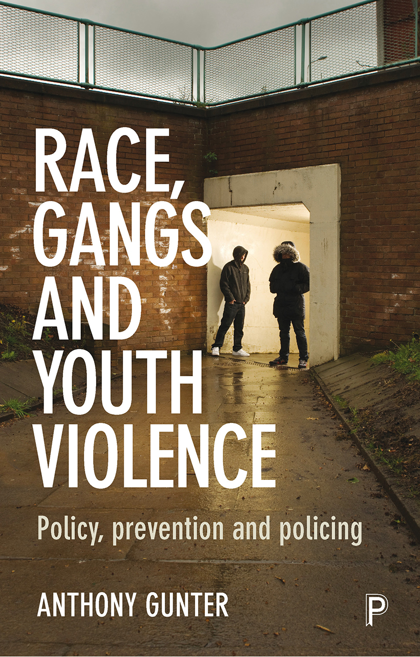 Race, Gangs and Youth Violence: Policy, Prevention and Policing by ...