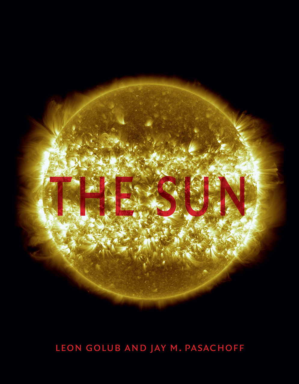 The Sun by Leon Golub | Goodreads