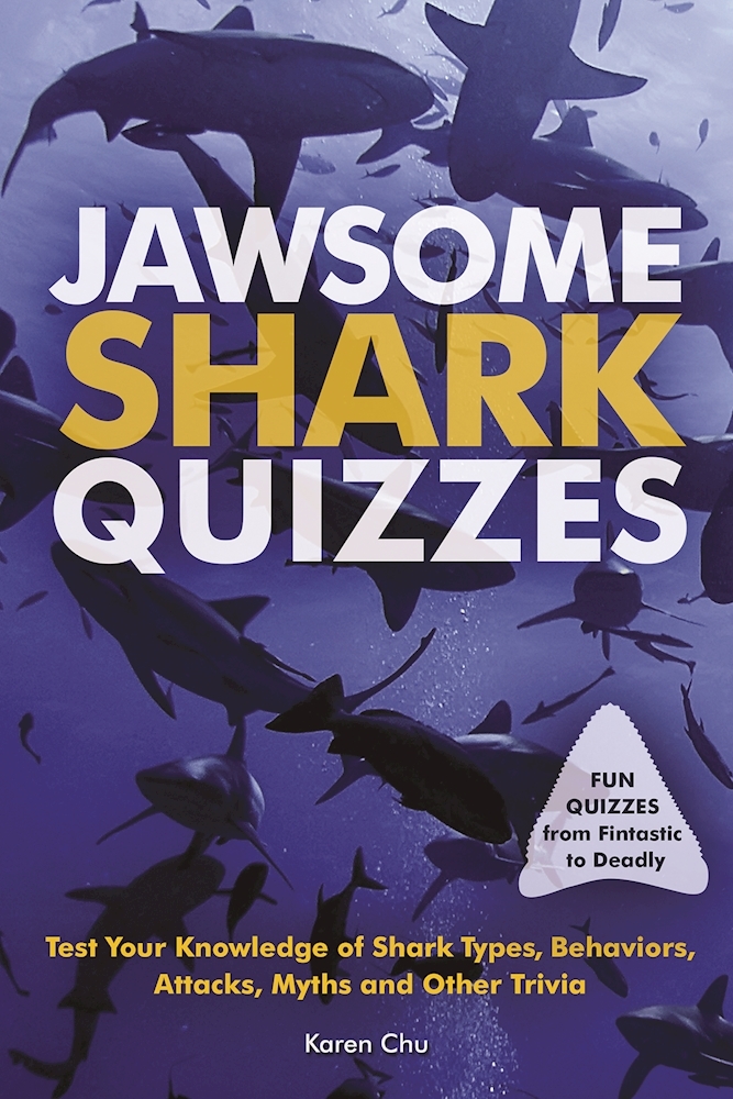 Jawsome Shark Quizzes: Test Your Knowledge of Shark Types, Behaviors ...