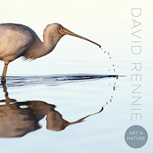 Art in Nature by David Rennie | Goodreads