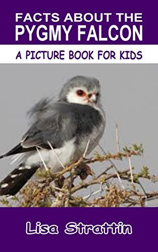 Facts About the Pygmy Falcon by Lisa Strattin | Goodreads