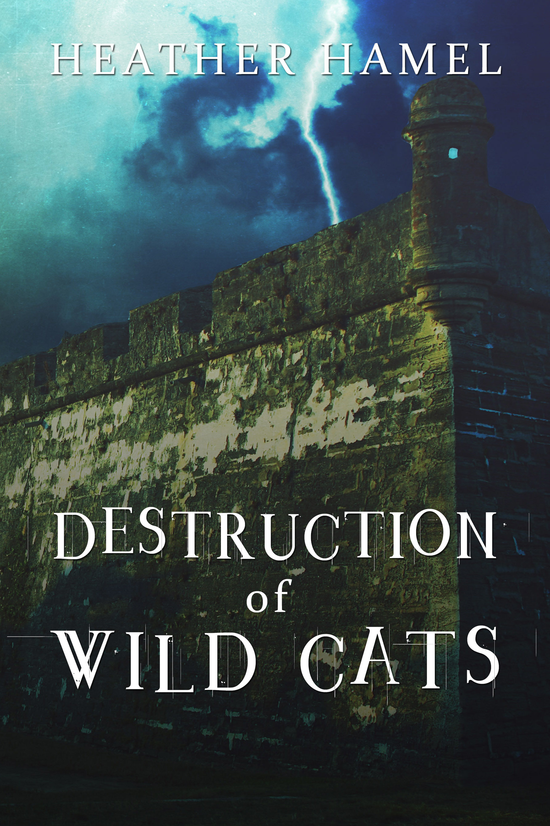 Destruction of Wild Cats by Heather Hamel | Goodreads
